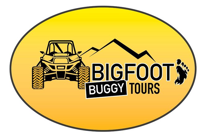 Off-Road Buggy Tour Sierra De Mijas Buggy 2h - Inclusions and Accessibility