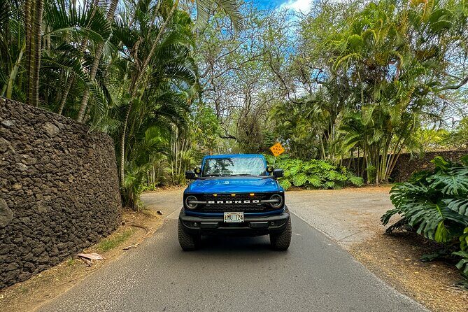 Off Road Coastal Tour 4x4 Vehicle With Snorkel, Photo and Video - Final Thoughts: Who Should Consider This Tour?