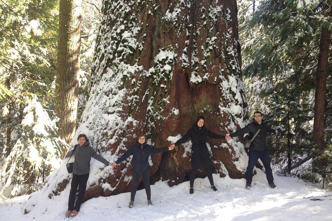 Off-Road Giant Sequoia 4x4 Tour - An In-Depth Look at the Tour Experience