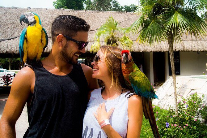 Off-Road Mayan Adventure in Cozumel with Snorkeling and Lunch - Exploring Cozumels Natural and Cultural Highlights