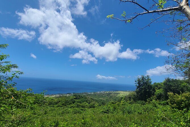 Off Road Rain Forest 4X4 Drive in St. Kitts - Practical Details: Transportation, Timing, and Cost