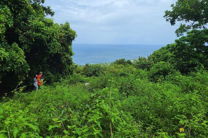 Off Road Rain Forest 4X4 Drive in St. Kitts - The Sum Up: Who Will Love This Tour?