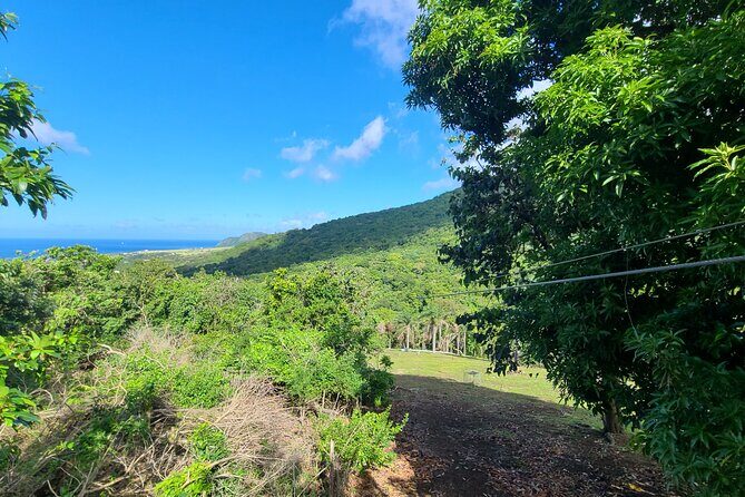 Off Road Rain Forest 4X4 Drive in St. Kitts - FAQ