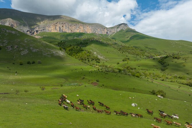 Off Road Tour to Dimats Mount Dilijan Armenia - Introduction