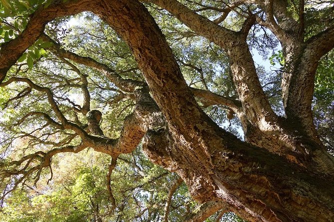 Off-Road Tour: Travel Inland - Booking Information