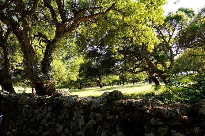 Off-Road Tour: Travel Inland - Off-Road Vehicles