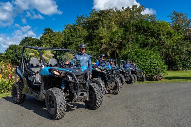 Off-Road UTV Tour : Explore Puerto Rico minutes from San Juan - Key Points