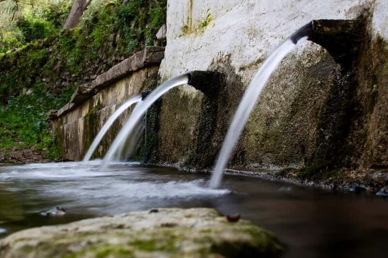 Off-Road: Waterfall, Lake Kournas, Gorges, Preveli Palms - An Authentic Crete Experience: What to Expect