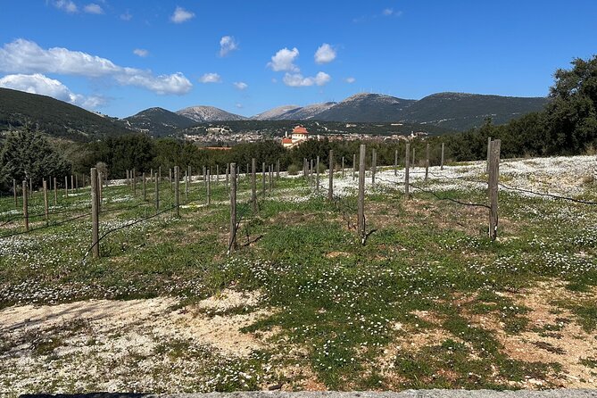 Off-Road Wine Fiesta at Cephalonia - Frequently Asked Questions