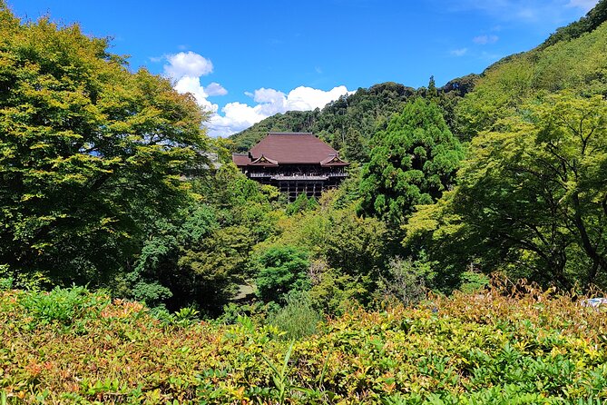 Off The Beaten Path Hike Through Kyotos Best Spots - Group Size and Participant Requirements