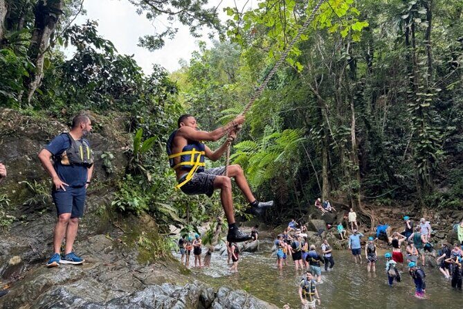 "Off the beaten path" Rain Forest Guided hike with Transportation - Introduction: A Different Take on El Yunque