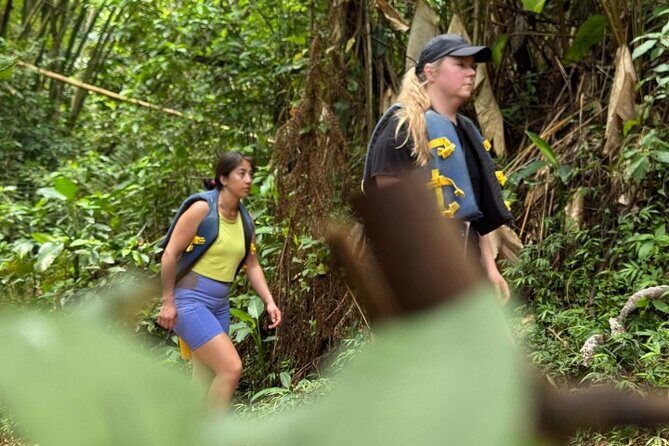 "Off the beaten path" Rain Forest Guided hike with Transportation - Frequently Asked Questions