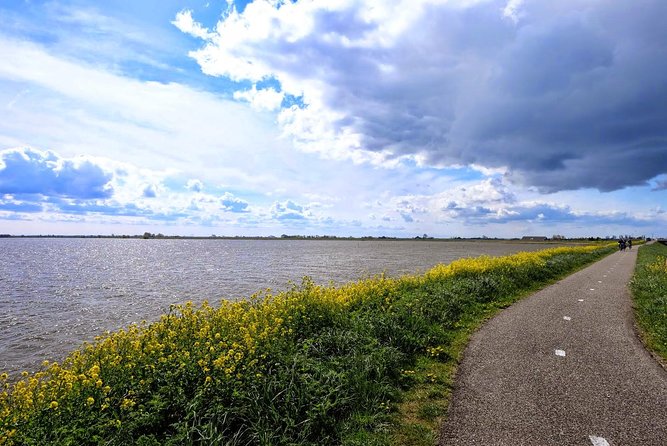 Off the Beaten Paths Dutch Landscape Private Tour 1/2 day Jaguar - How Does the Price Stack Up?