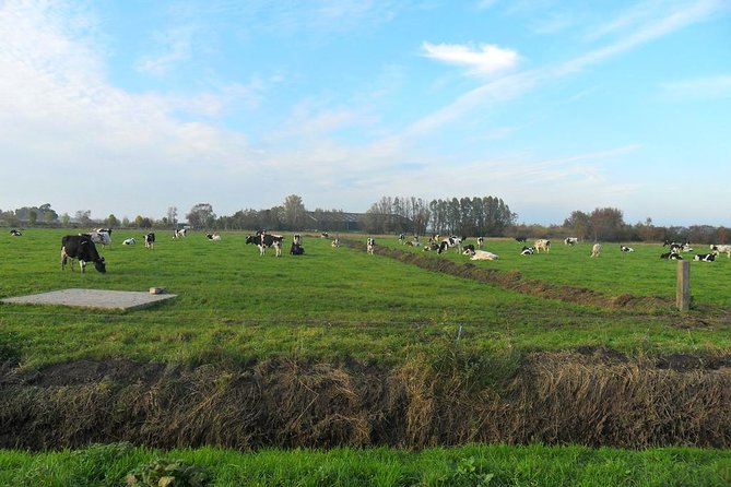 Off the Beaten Paths Dutch Landscape Private Tour 1/2 day Jaguar - FAQ