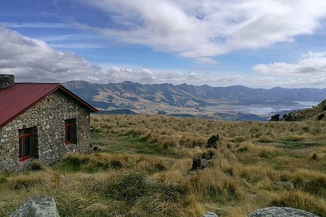 Off The Beaten Track- Packhorse Hut Guided Walk(Small Group Tour) - Key Points