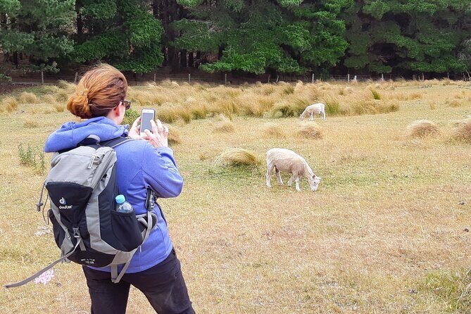 Off The Beaten Track- Packhorse Hut Guided Walk(Small Group Tour) - Frequently Asked Questions