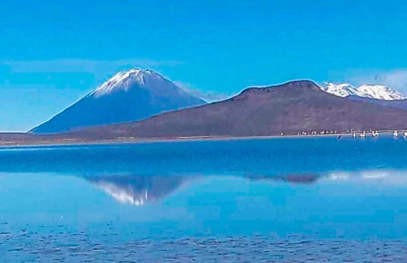 Offer Price Tour Salinas Lagoon and National Reserve 8 hours - Exploring the Salinas Lagoon and National Reserve: A Balanced Look