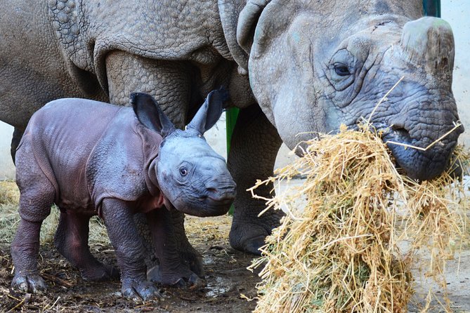 Offer Summer Terra Natura entrance ticket - The Sum Up