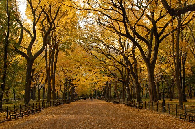 Official Central Park Walking Tour - Who Will Love This Tour?