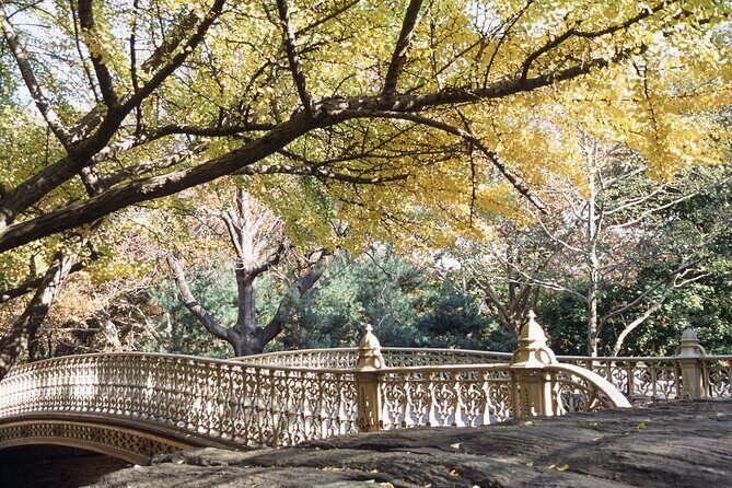 Official Central Park Walking Tour - The Sum Up: Is It For You?