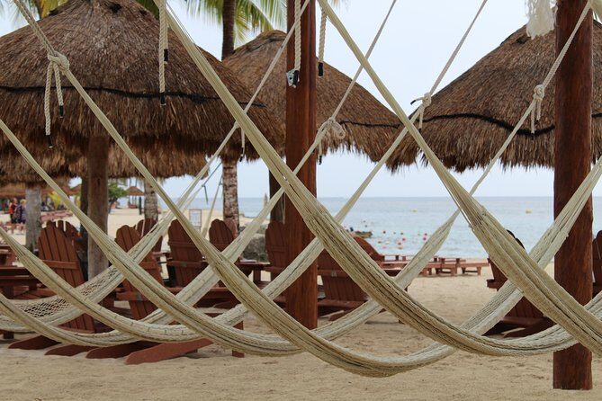 Official Chankanaab Beach Park Day pass with Lunch included - The Downsides and Challenges