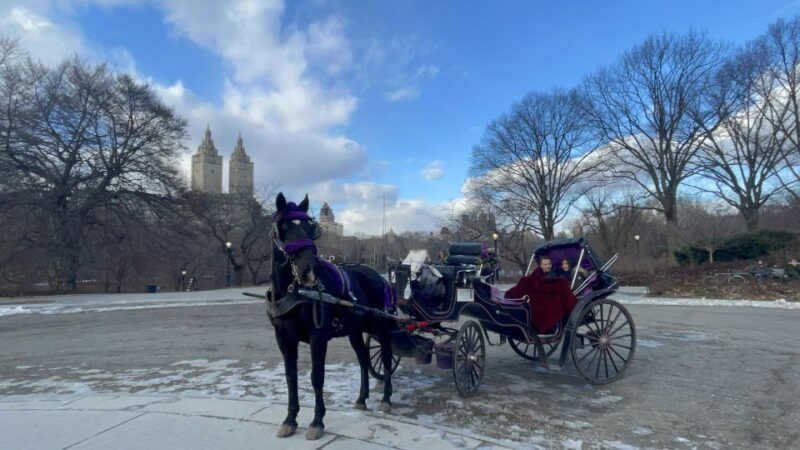 Official Exclusive VIP Horse Carriage Ride in Central Park - Authentic Reviews and What Travelers Say