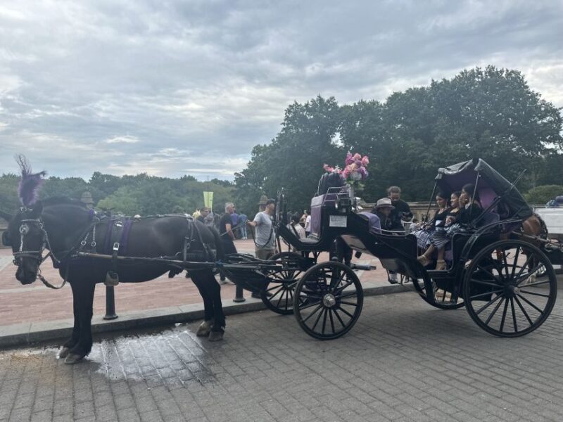 Official Exclusive VIP Horse Carriage Ride in Central Park - The Sum Up