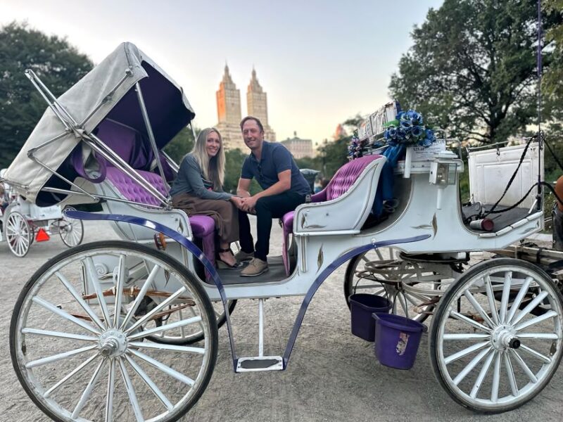 Official Exclusive VIP Horse Carriage Ride in Central Park - FAQ