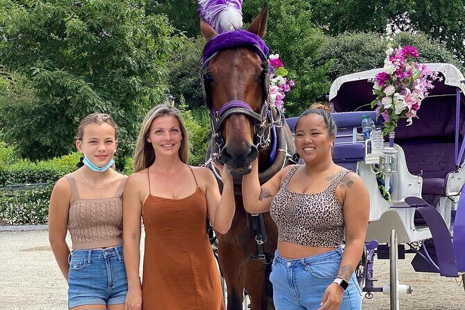 OFFICIAL NYC Central Park Horse Carriage Rides - Introduction