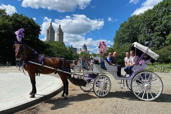 OFFICIAL NYC Central Park Horse Carriage Rides - An In-Depth Look at the Experience