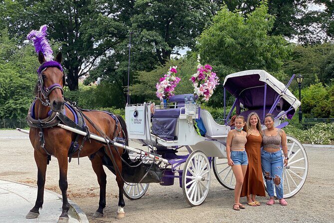 OFFICIAL NYC Central Park Horse Carriage Rides - The Sum Up