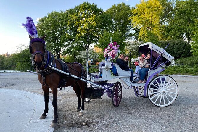 OFFICIAL NYC Central Park Horse Carriage Rides - FAQ