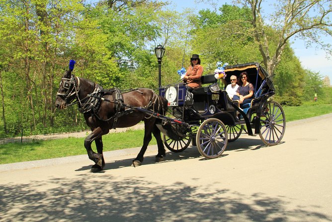Official NYC Horse Carriage Rides in Central Park since 1979 ™ - Introducing the Experience: A Classic Ride Through Central Park