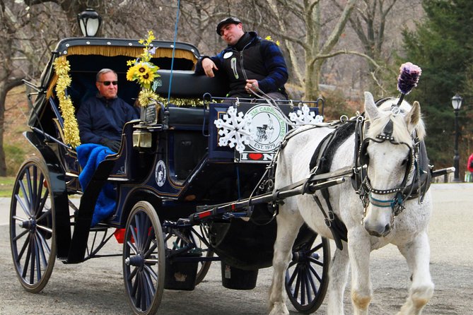 Official NYC Horse Carriage Rides in Central Park since 1979 ™ - Authentic, Unhurried, and Unique — Is It Worth It?