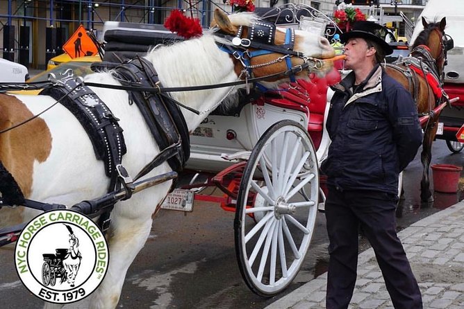 Official NYC Horse Carriage Rides in Central Park since 1979 ™ - Who Should Consider This Tour?