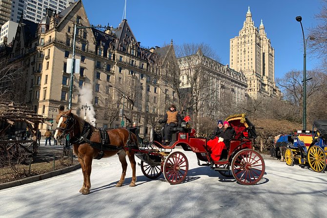 Official NYC Horse Carriage Rides in Central Park since 1979 ™ - Final Thoughts