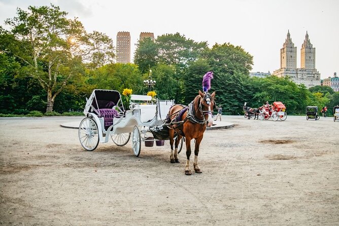 Official Private New York City Central Park Horse Carriage Ride Since 1965™ - Frequently Asked Questions