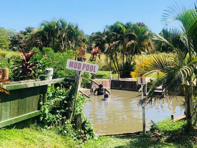 Official: Sabeto Hotspring and Mud Pool Tours & Tickets - The Itinerary in Detail