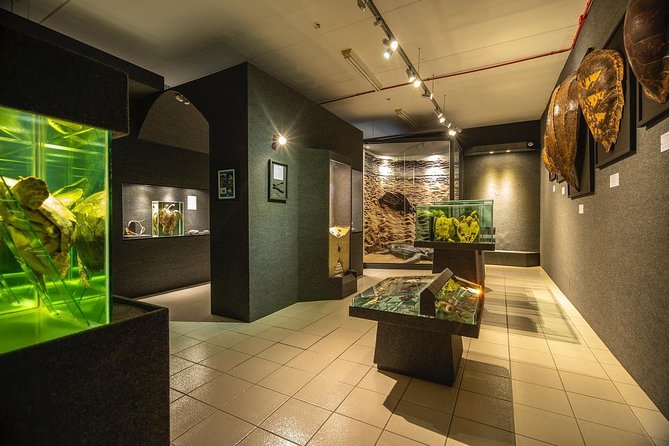 Official Ticket: Oceanographic Museum Univali - Piçarras - SC - Key Points