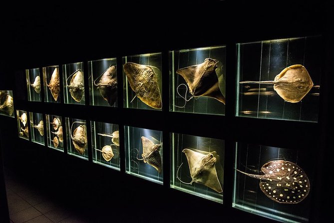 Official Ticket: Oceanographic Museum Univali - Piçarras - SC - Operating Hours and Location