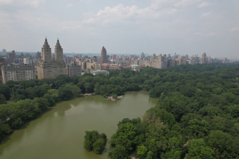 Official VIP Whole Central Park Horse Carriage Tour - Exploring Central Park with a Horse Carriage