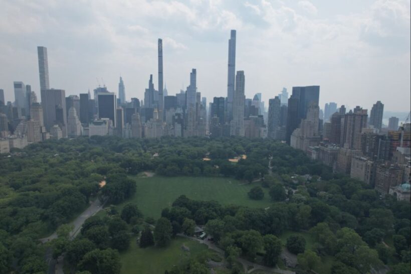 Official VIP Whole Central Park Horse Carriage Tour - Analyzing Cost and Value