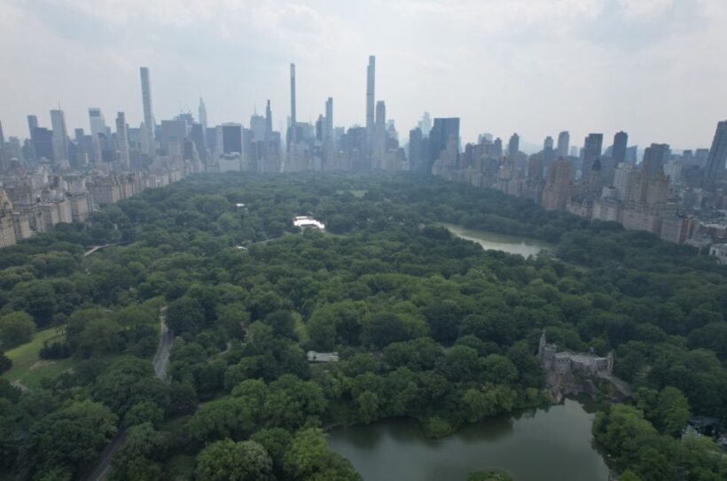 Official VIP Whole Central Park Horse Carriage Tour - The Sum Up