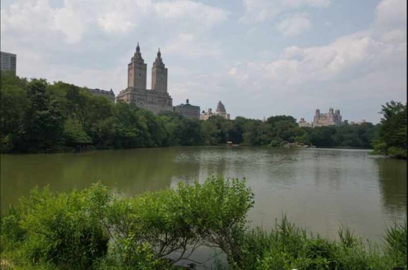 Official VIP Whole Central Park Horse Carriage Tour - What Makes This Tour a Good Choice?