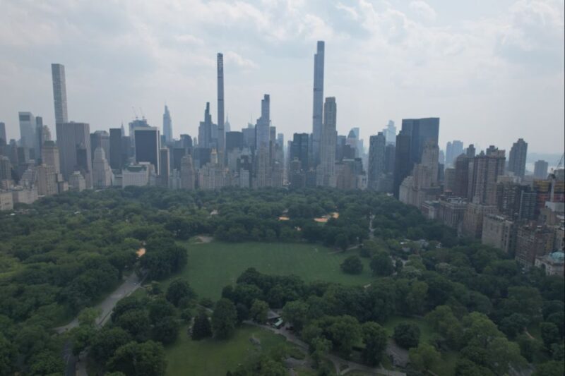 Official VIP Whole Central Park Horse Carriage Tour - The Itinerary in Detail: What to Expect