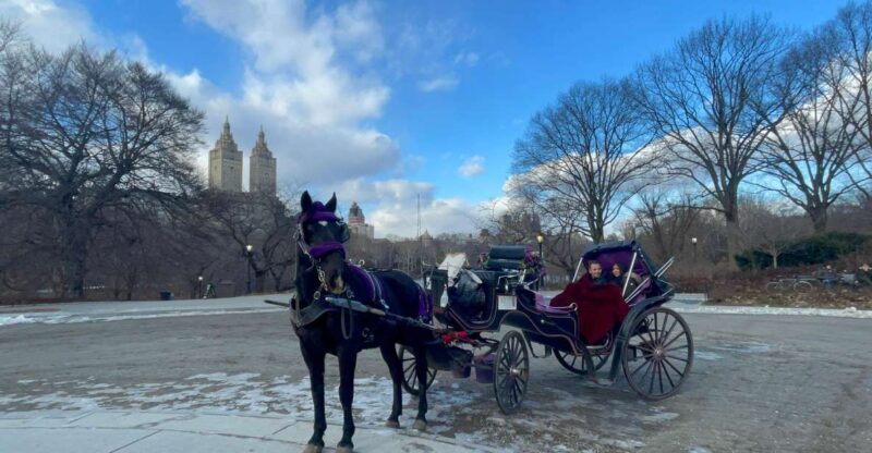 Official VIP Whole Central Park Horse Carriage Tour - Final Thoughts: Who Will Love This Experience?