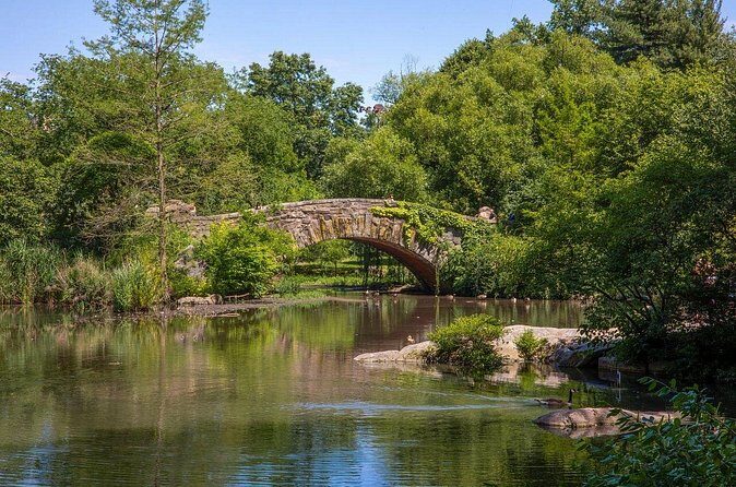 Official Who Built Central Park Walking Tour - Who Would Enjoy This Tour?