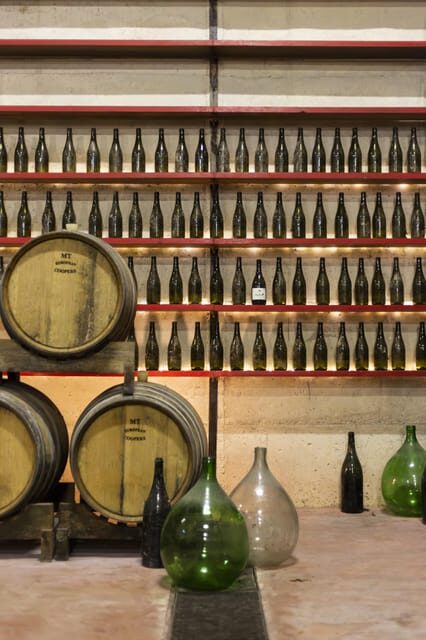 Offida: Tasting itinerary of Rosso Piceno DOC Superiore - Who Should Consider This Experience?