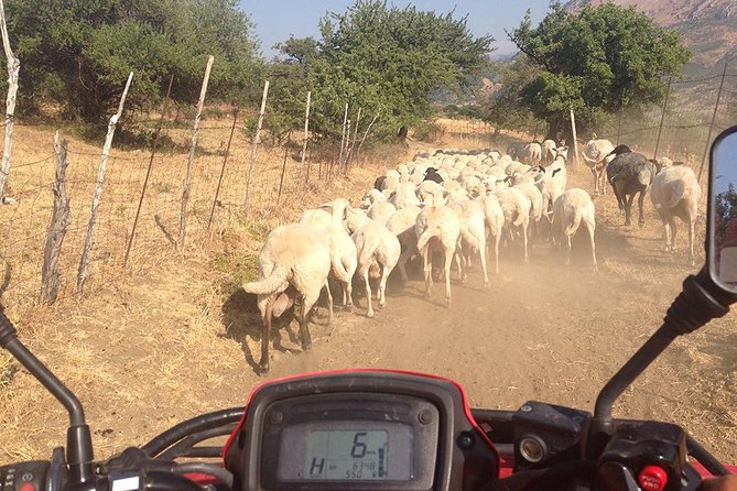 Offroad Cefalù Quad Tour - Practicalities and Value