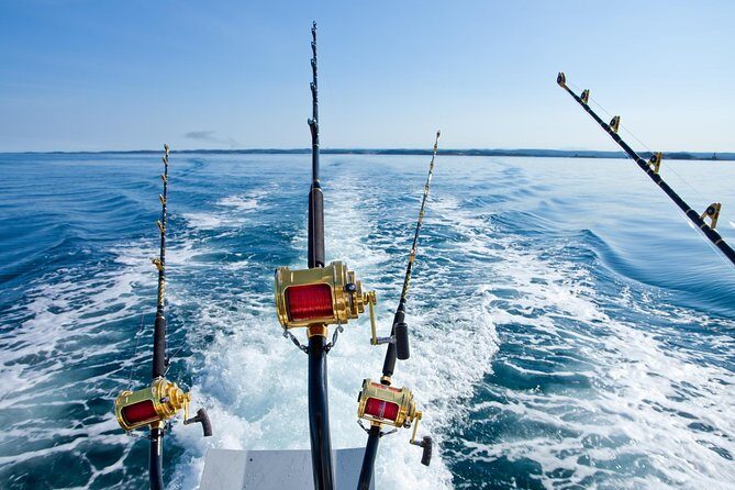 Offshore Fishing - Half Day (Trolling) - A Balanced Look at Offshore Fishing - Half Day (Trolling) in Punta Cana